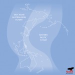 Flyways | Australasian Wader Study Group